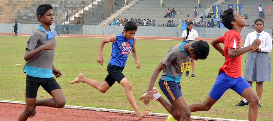 Linfield College International
